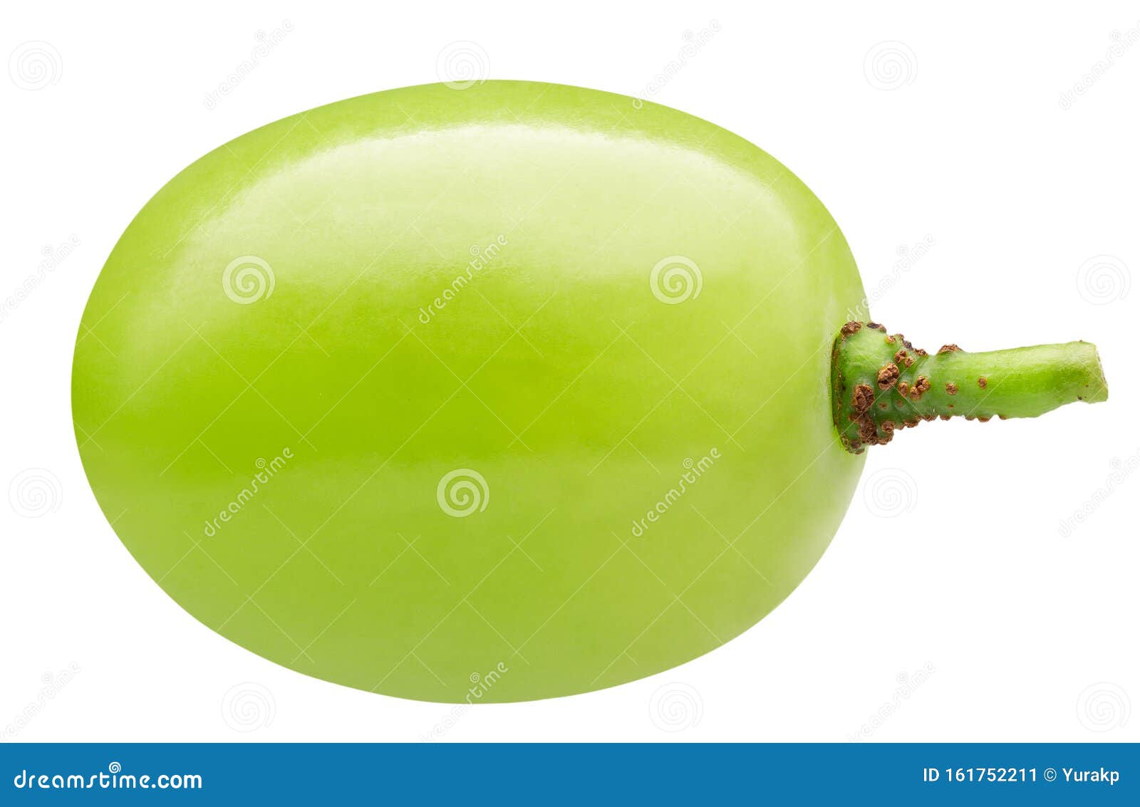 Single Green Grape Isolated on a White Background Stock Image - Image ...