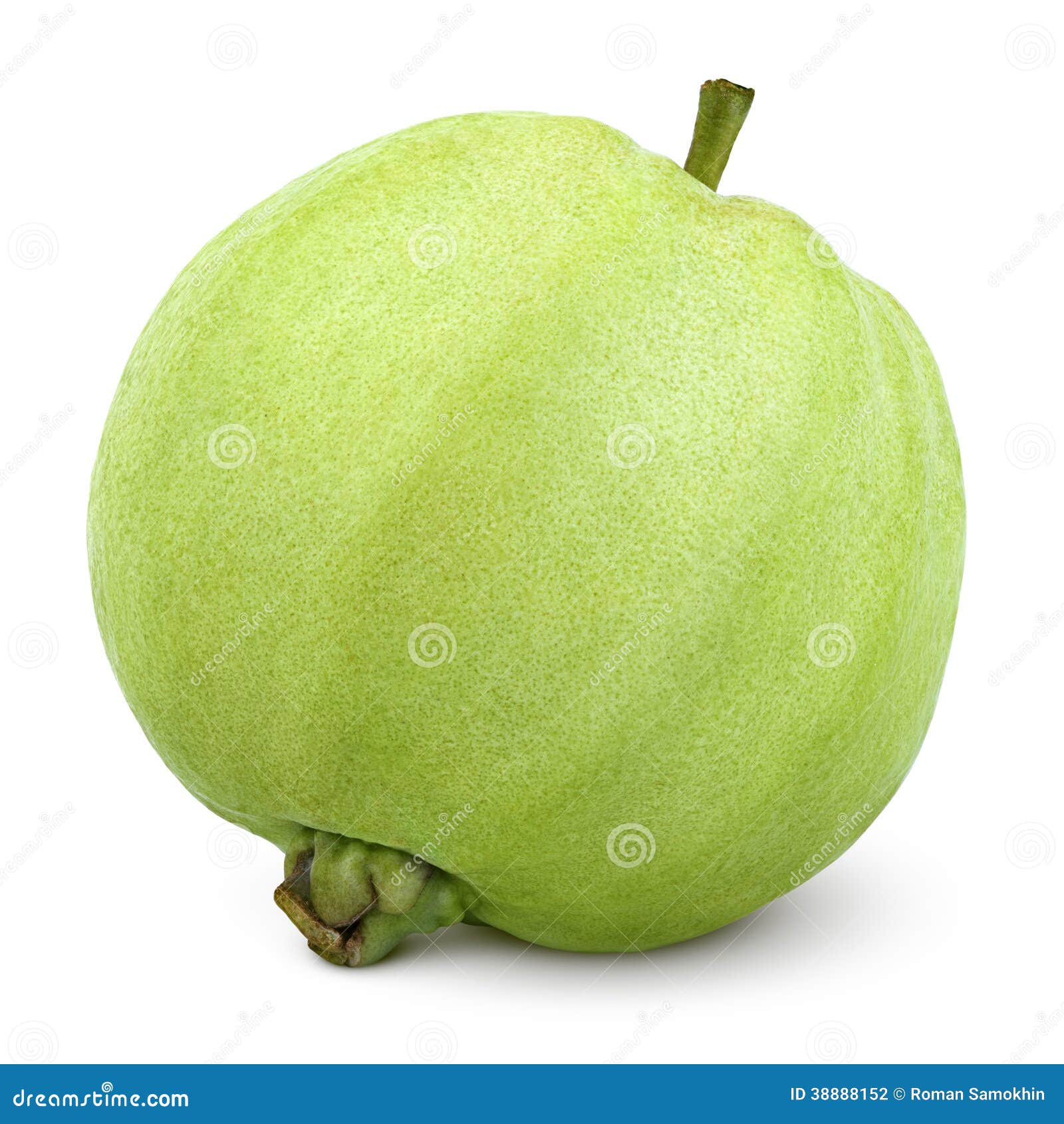 Single Green Guava Isolated on White Stock Photo - Image of healthy ...