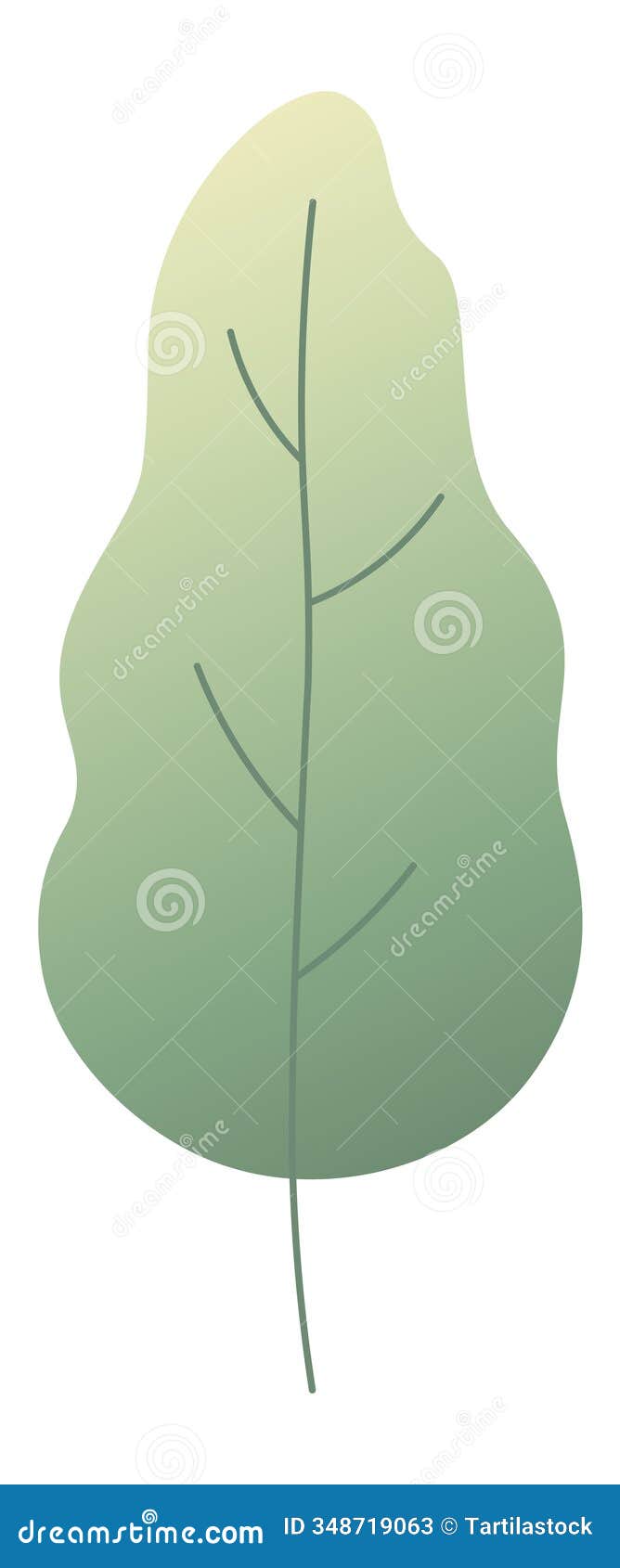 Single Green Leaf with Central Vein and Soft Gradient from Light To ...