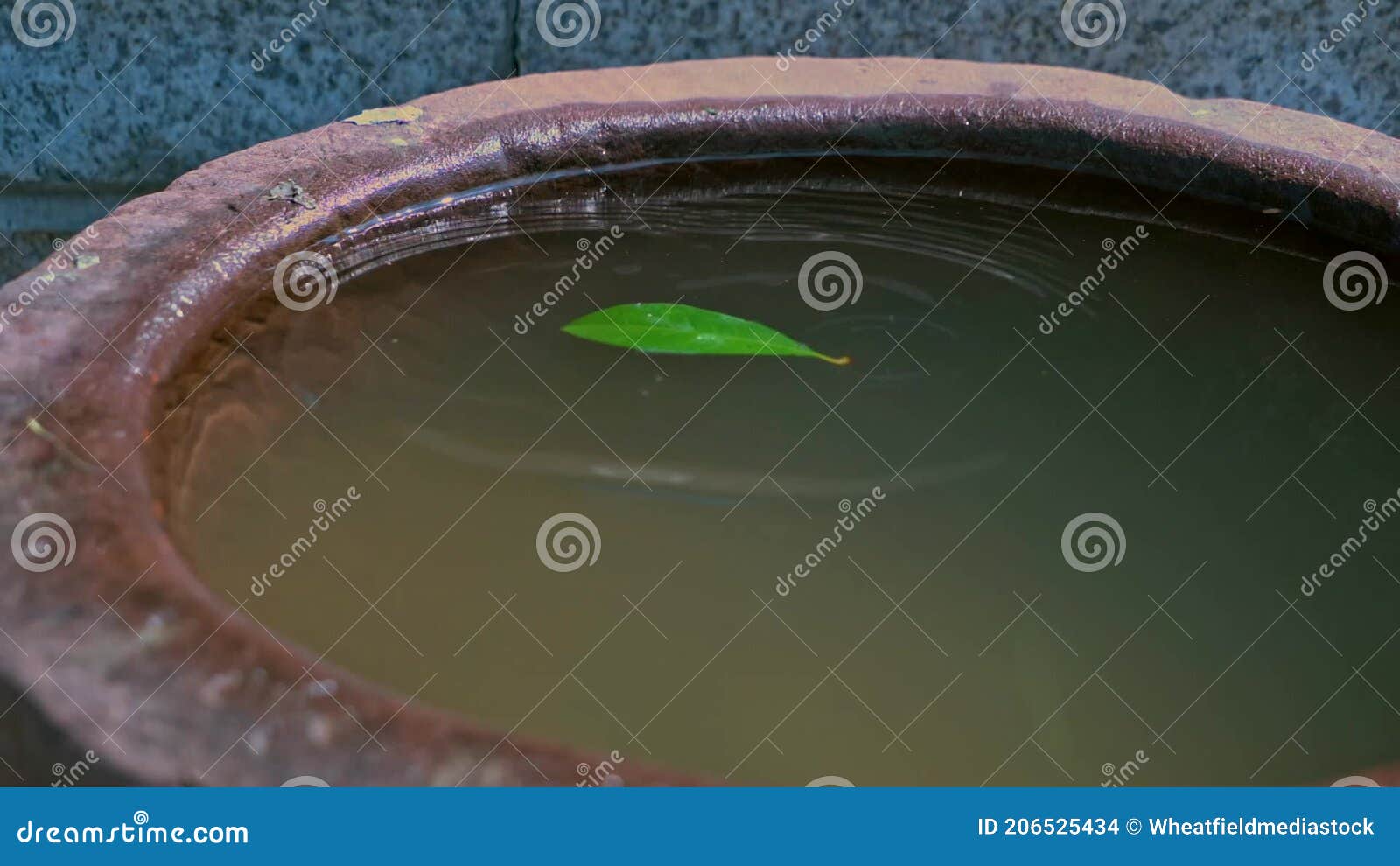 Single Green Leaf Falling into Old Stone Water Tank Stock Footage ...