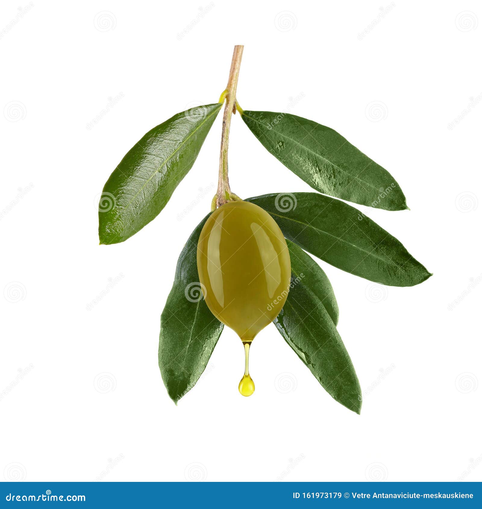 Single Green Olive with Leaves and Oil Drop, Isolated on White ...