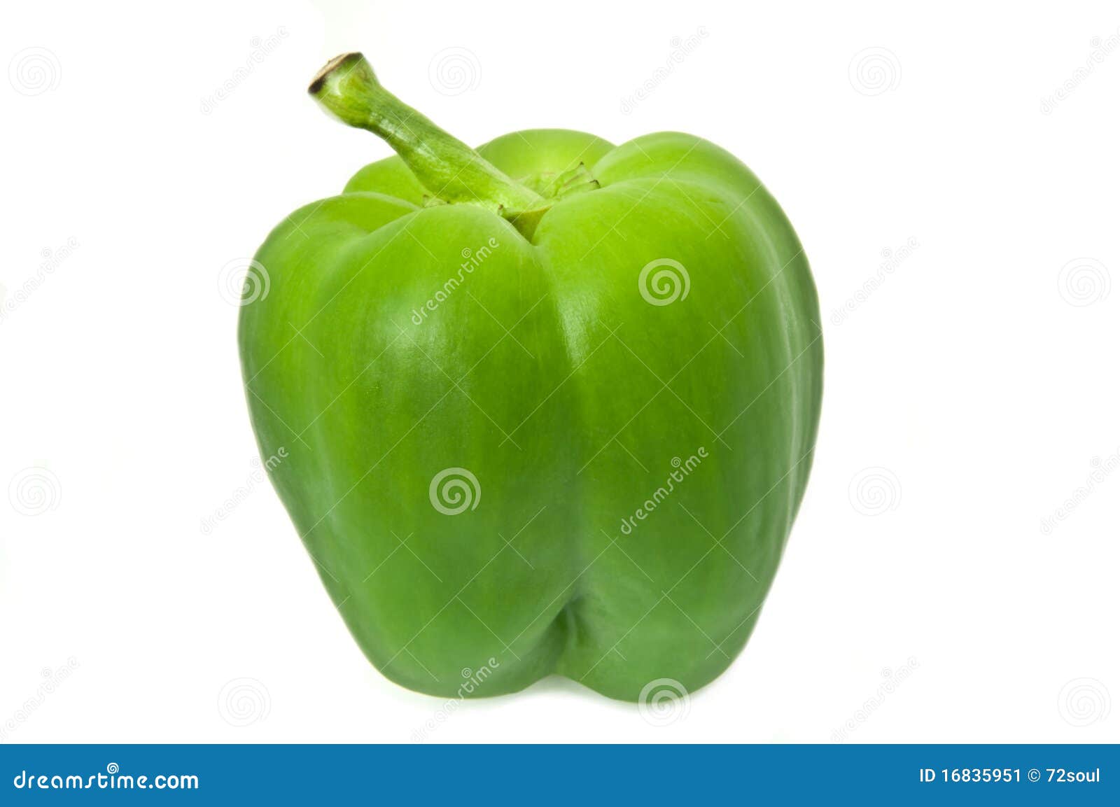 Single green pepper. stock image. Image of organic, fresh - 16835951