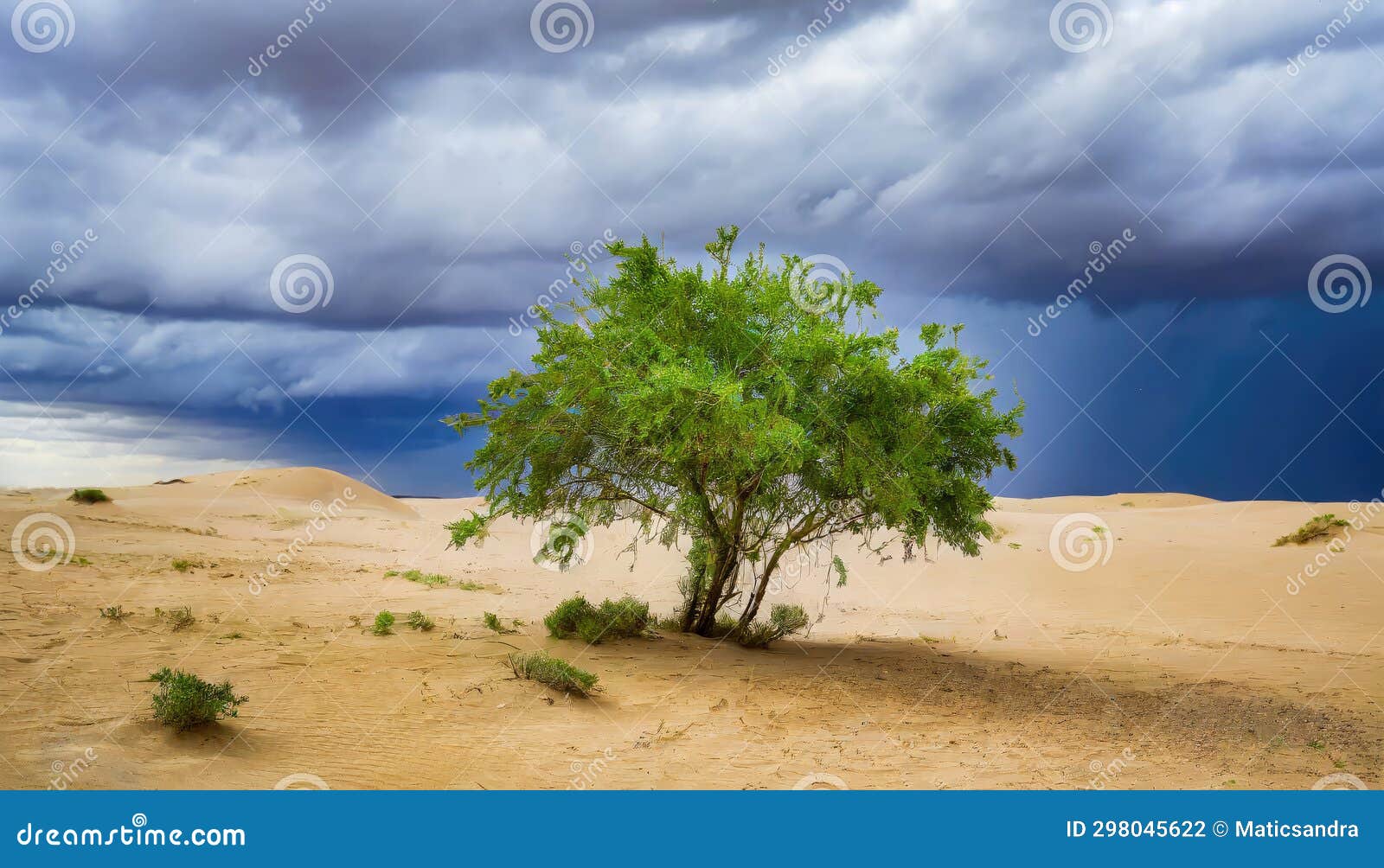 Single Green Tree in the Desert with Storm Clouds. Generated with AI ...