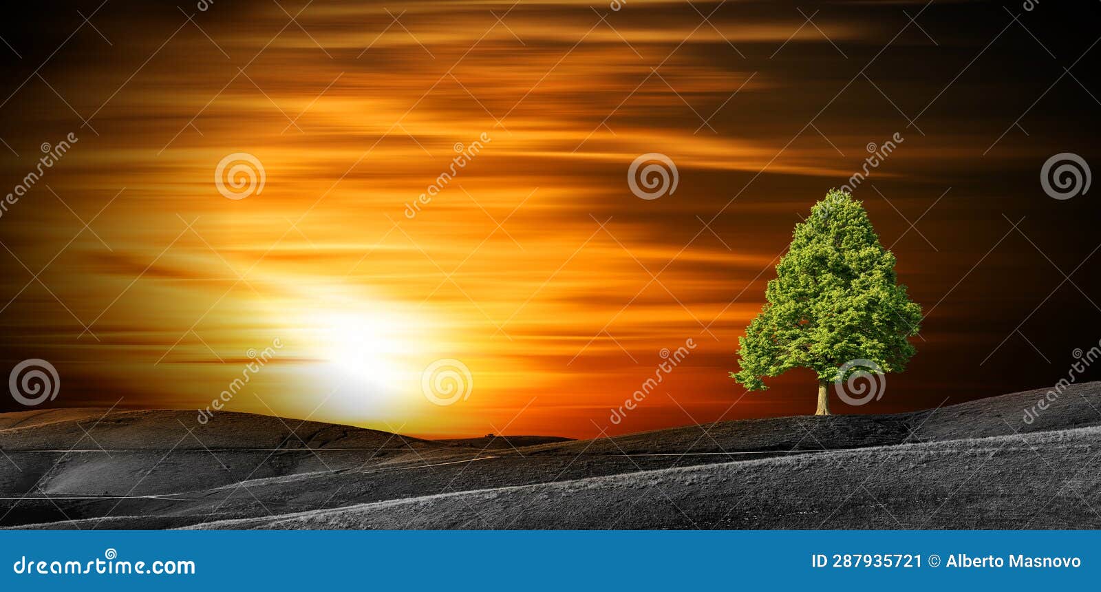 Single Green Tree on Top of a Black and White Landscape at Sunset Stock ...