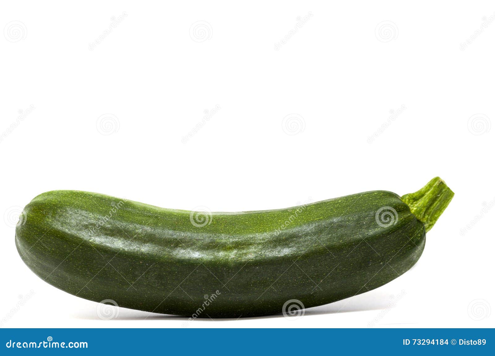 Single green zucchini stock photo. Image of organic, gourd - 73294184