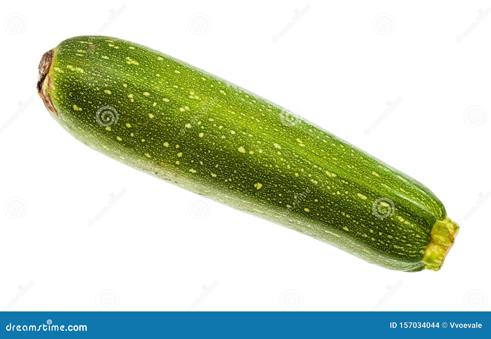 Single Green Zucchini Vegetable Isolated Stock Photo - Image of green ...