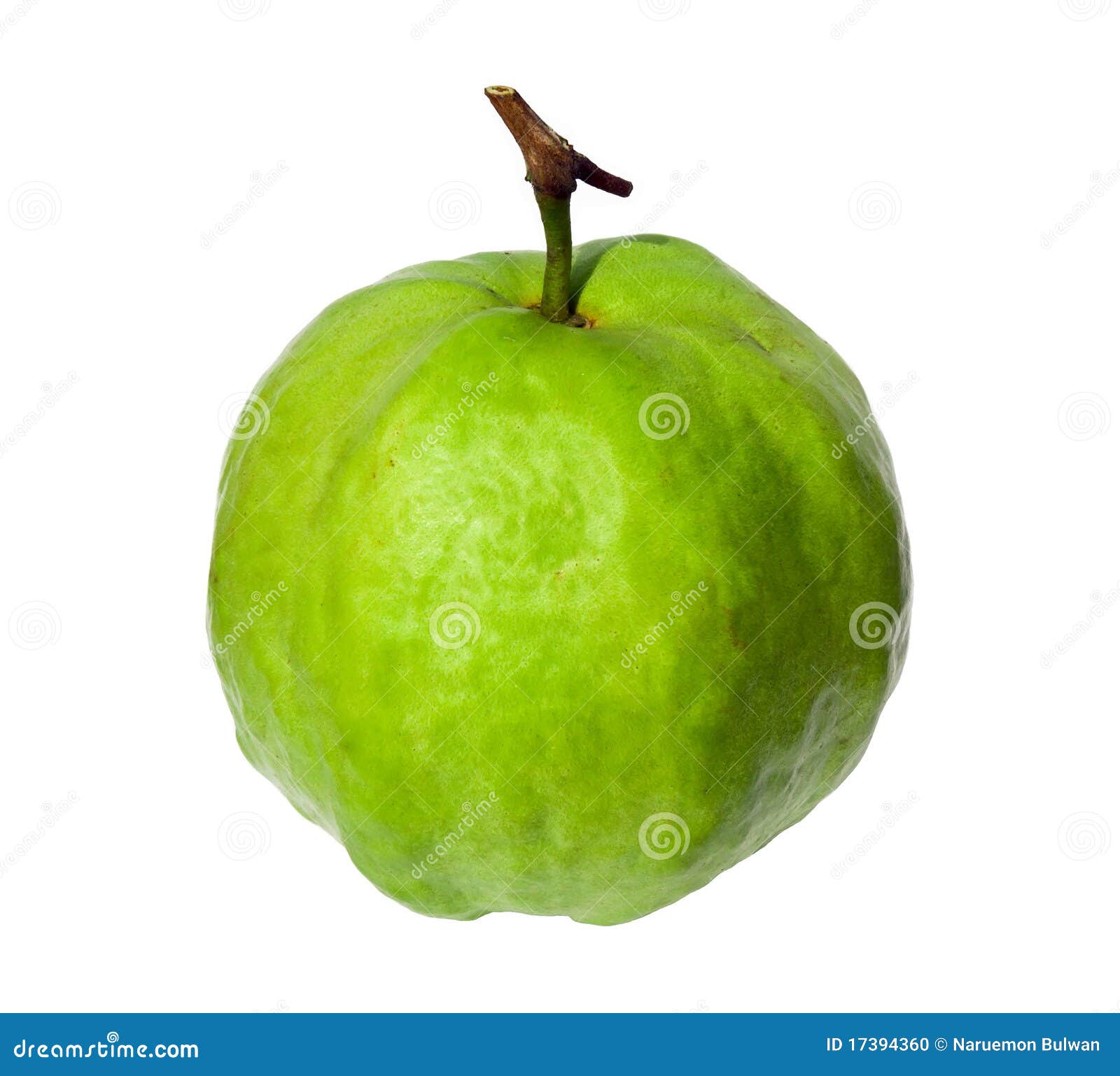 Single Guava on White Background. Stock Photo - Image of delicious ...