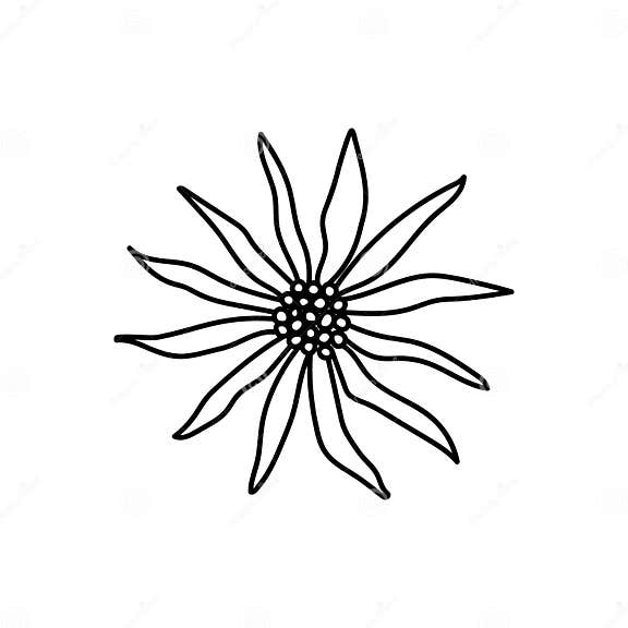 Single Hand Drawn Daisy. Vector Illustration in Doodle Style. Isolate ...