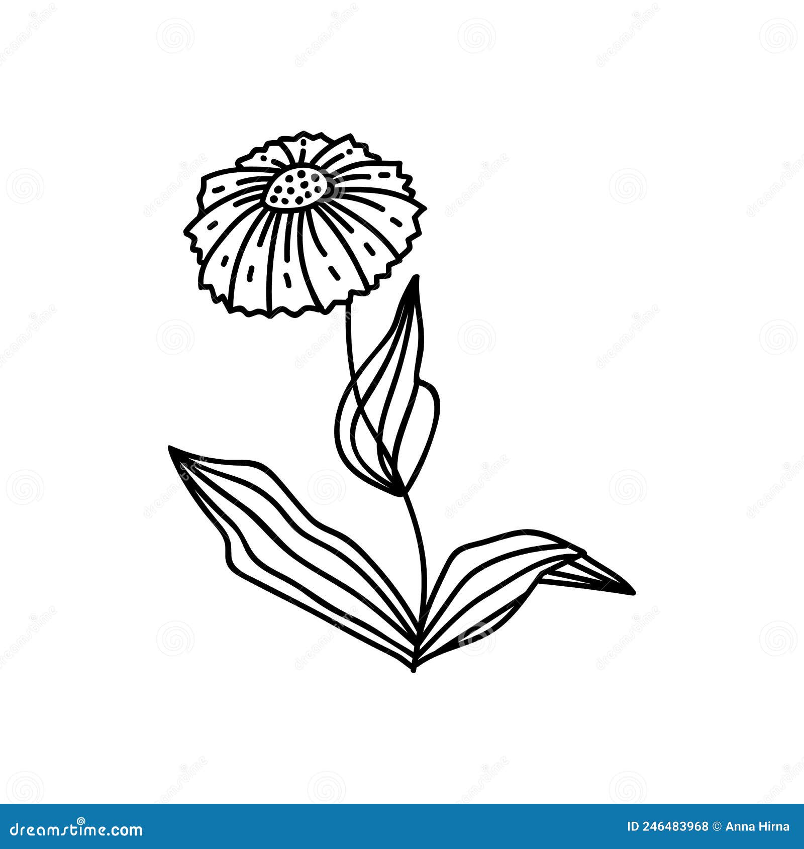 Single Hand Drawn Daisy. Vector Illustration in Doodle Style. Isolate ...