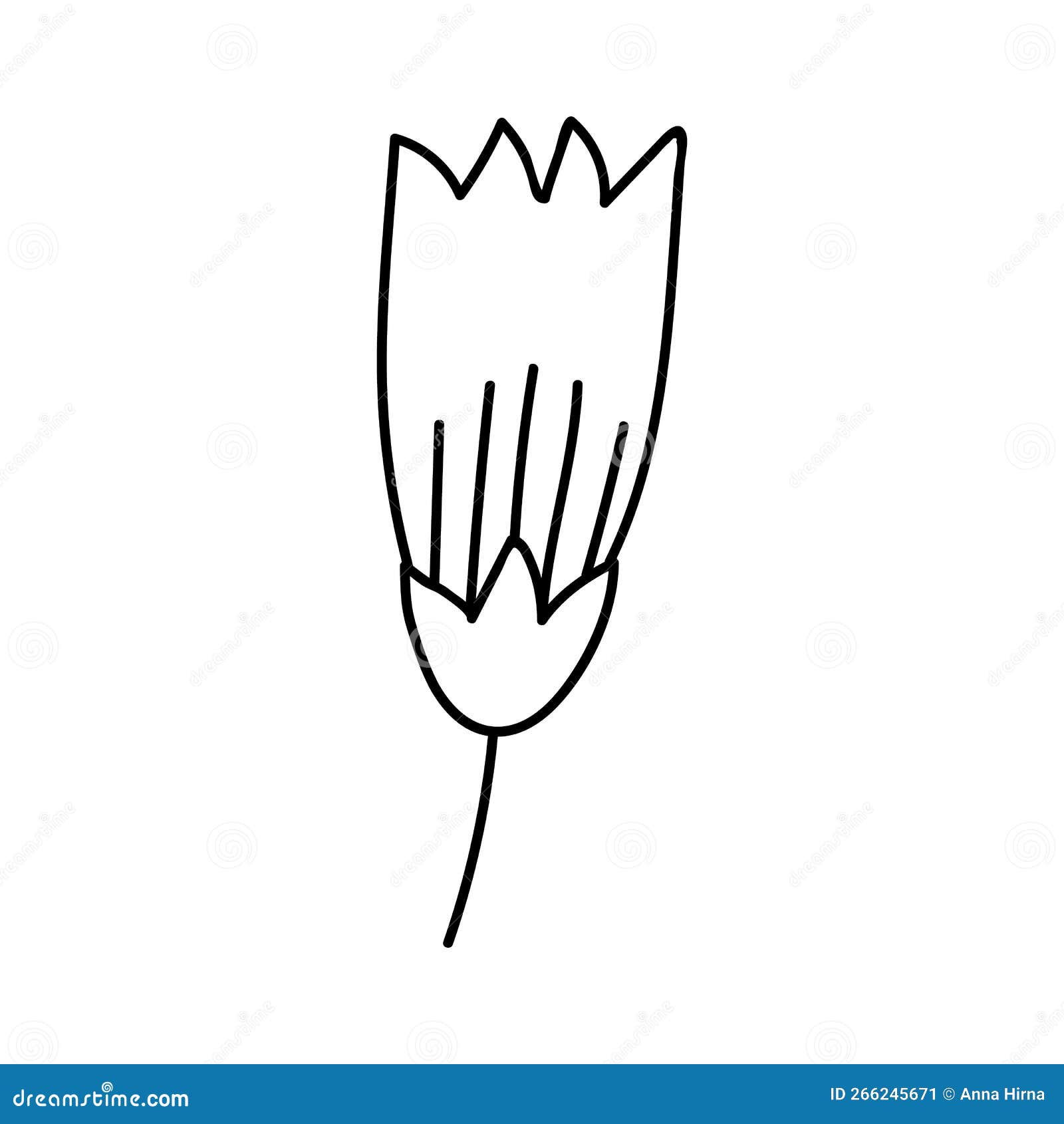 Single Hand Drawn Tulip Head. Vector Illustration in Doodles Style ...