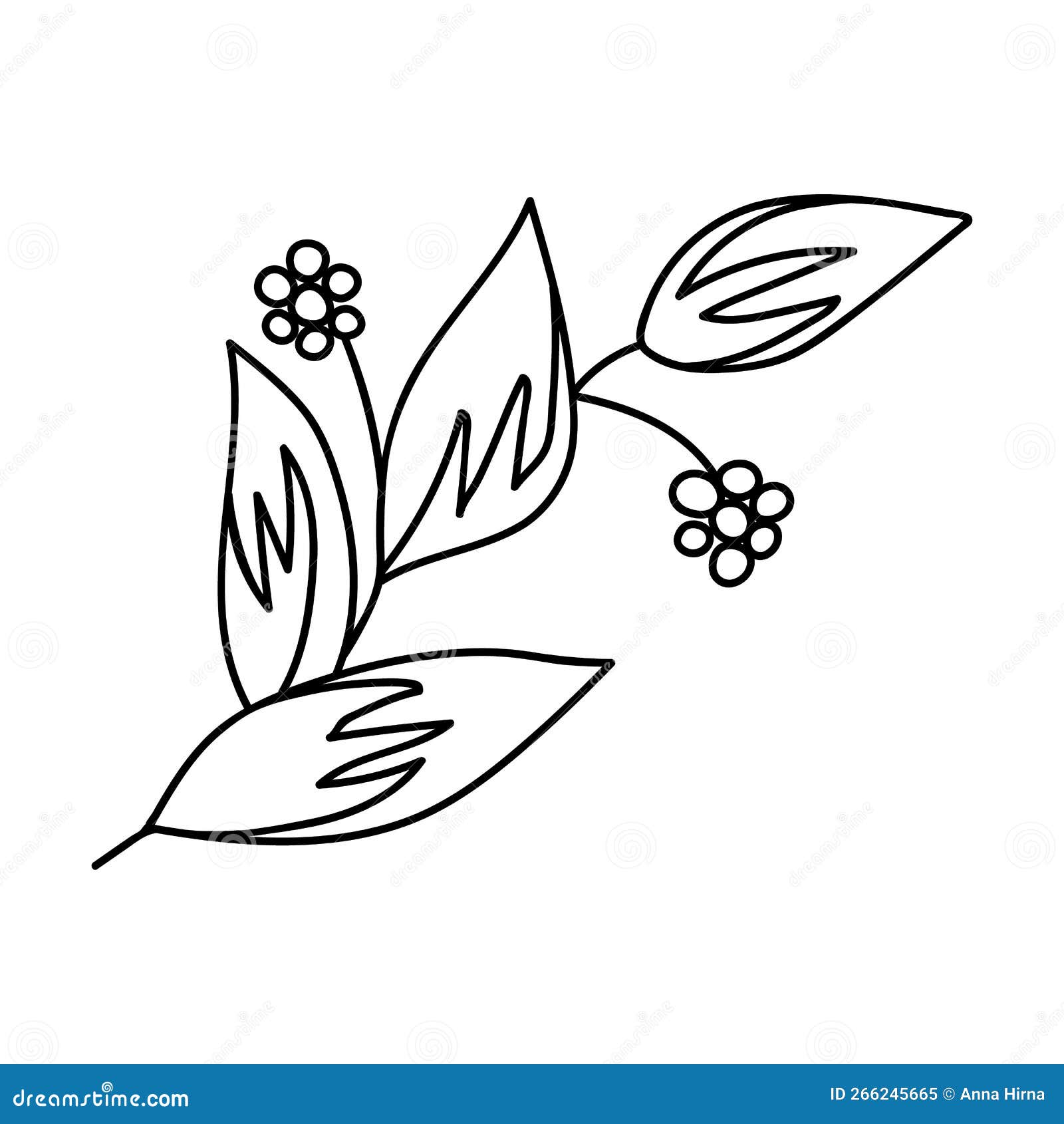 Single Hand Drawn Twig. Vector Illustration in Doodle Style. Isolate on ...