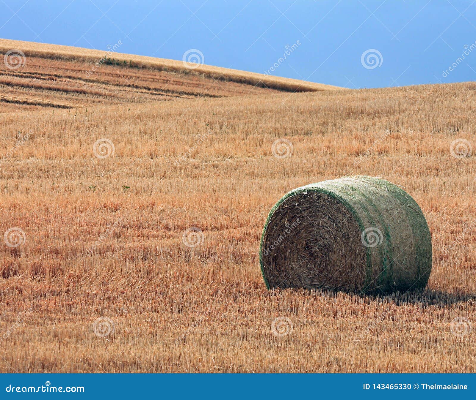 Single Hay Bale in a Field Under a Blue Sky Stock Photo - Image of ...