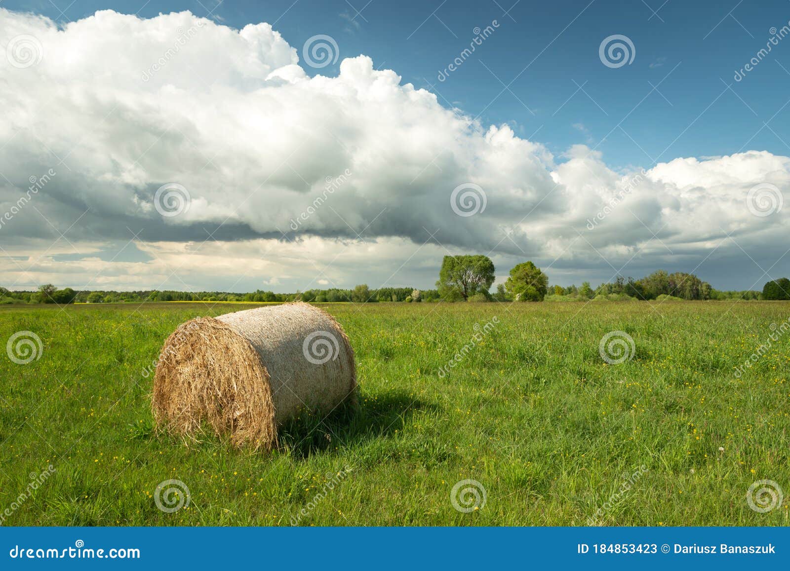 Single Hay Bale Lying on a Green Meadow, White Big Cloud on the Blue ...