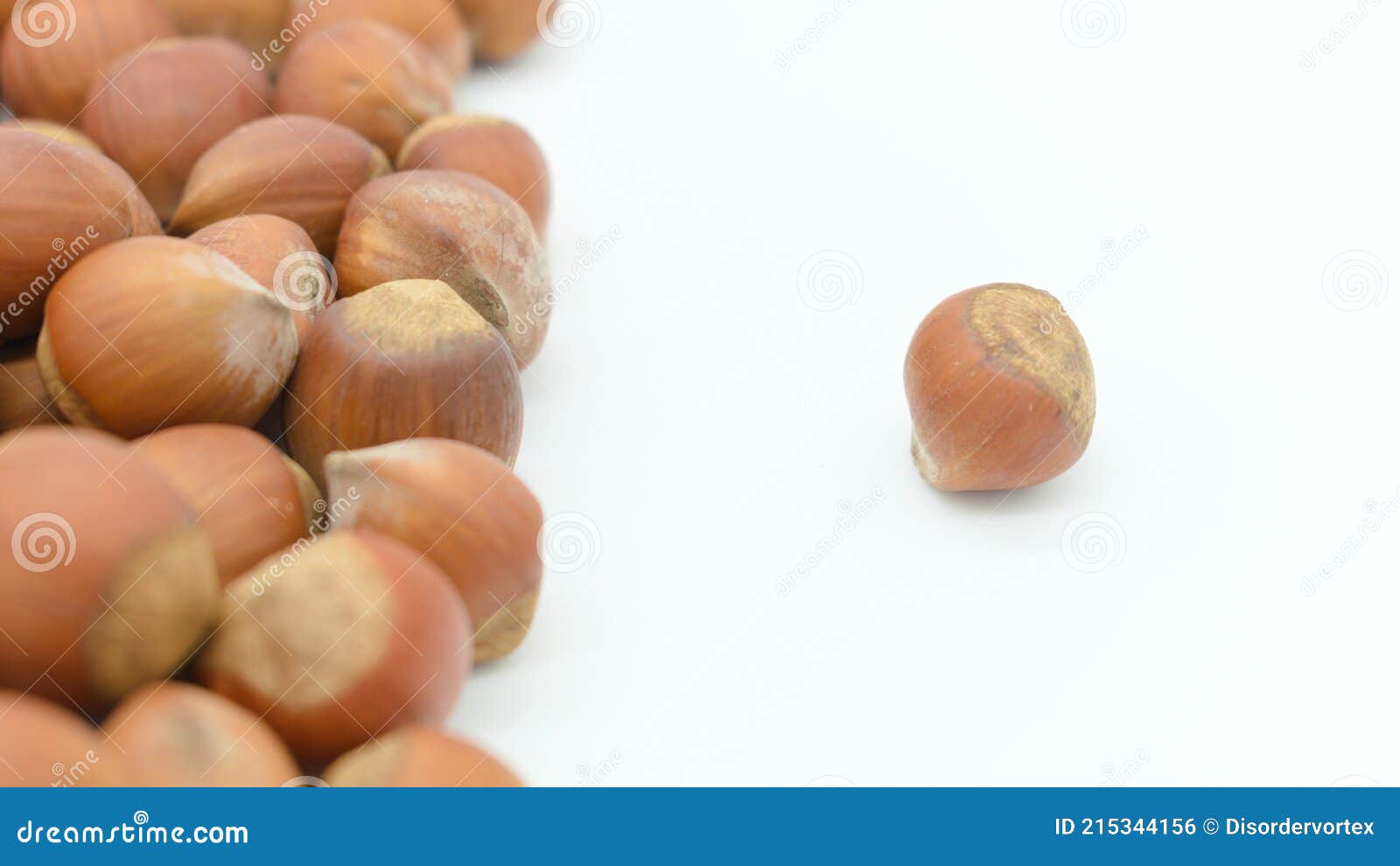 A Single Hazelnut in Front of a Large Group of Hazelnuts Stock Photo ...