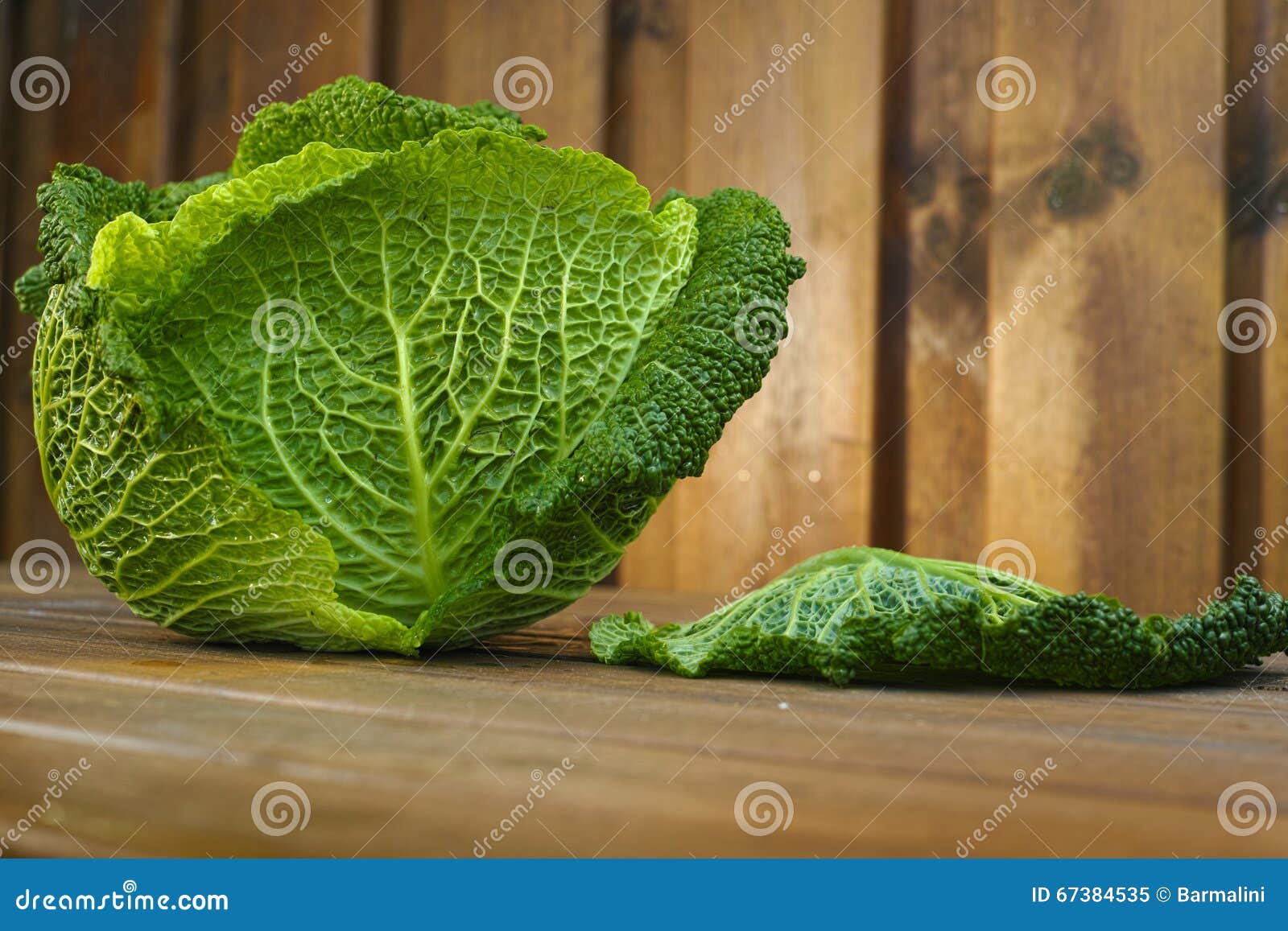 Single Head of Fresh Green Savoy Cabbage Stock Image - Image of meal ...