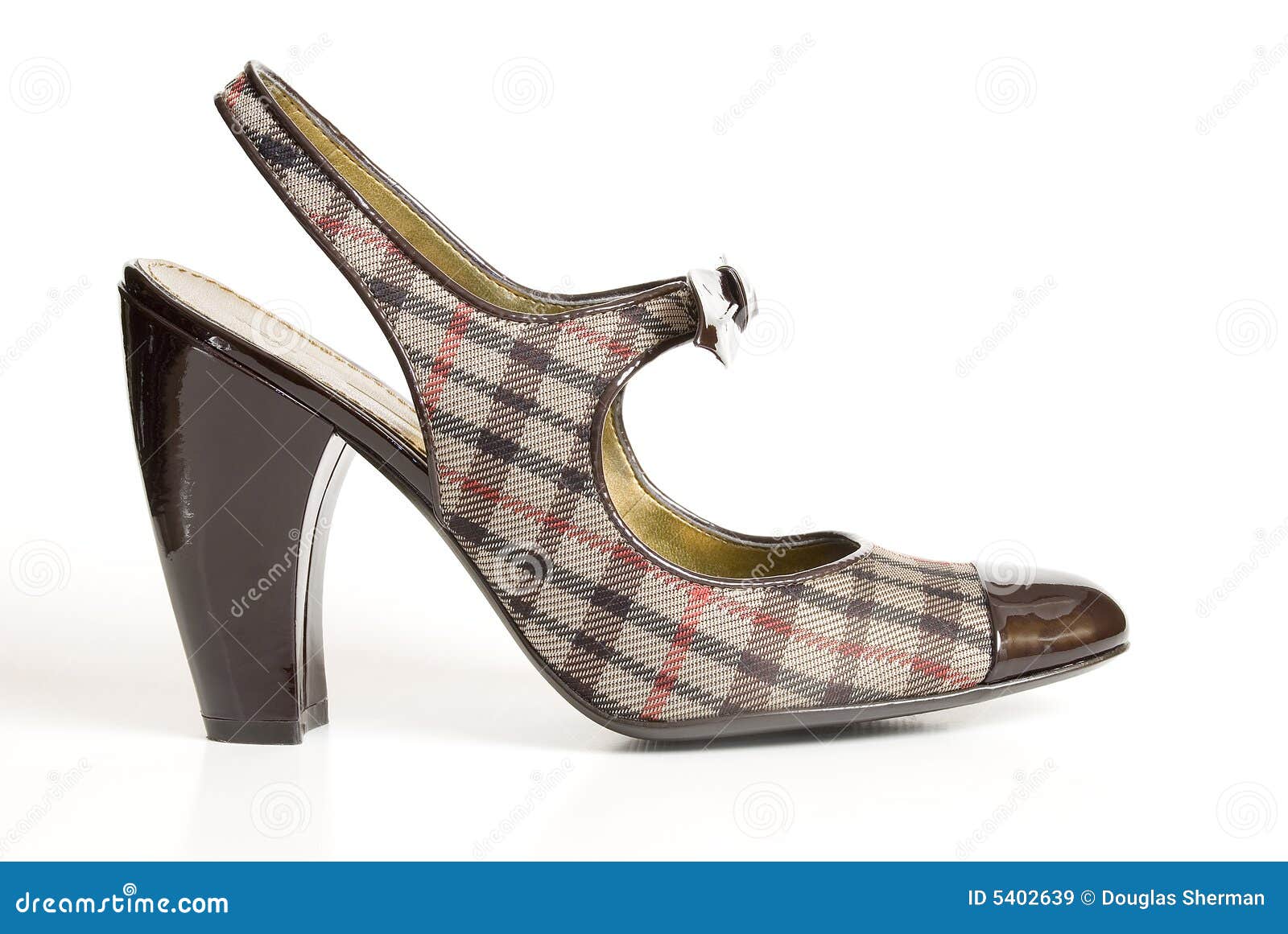 A single high heel shoe. stock image. Image of pretty - 5402639