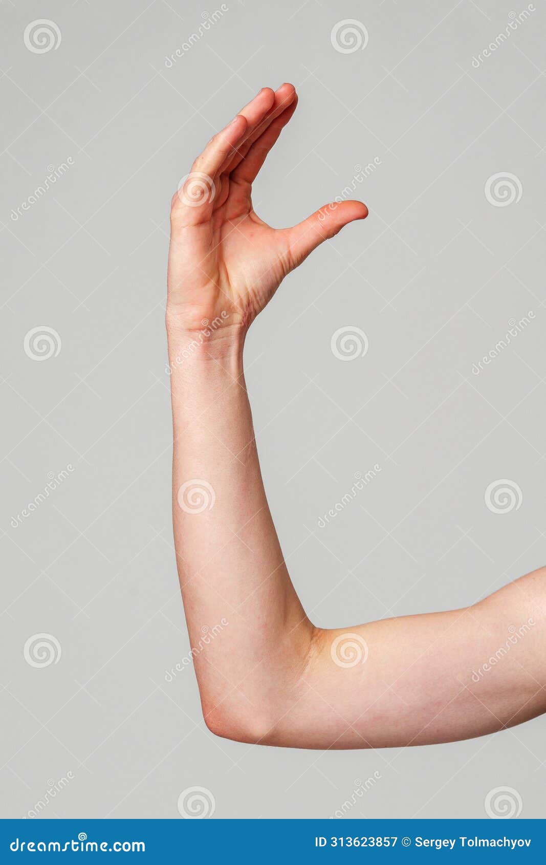 Elevated Bare Human Arm Bent at the Elbow Against a Neutral Background ...