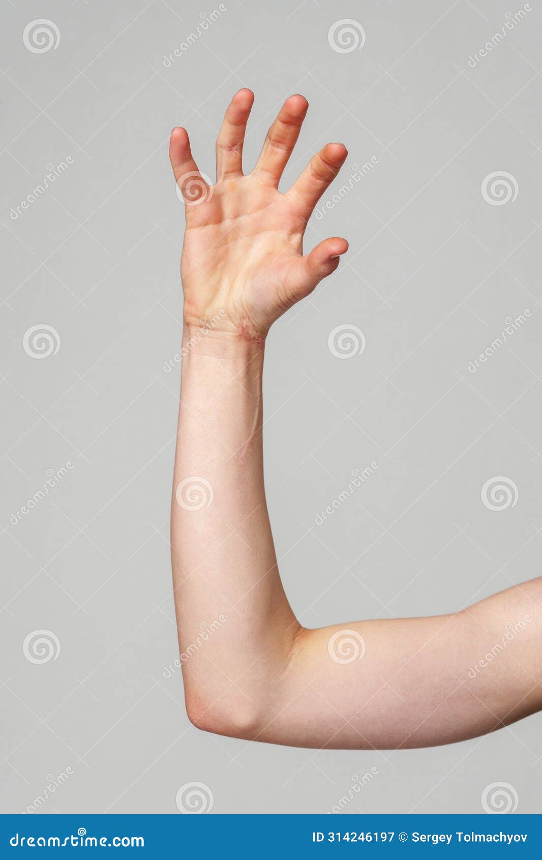 Elevated Bare Human Arm Bent at the Elbow Against a Neutral Background ...