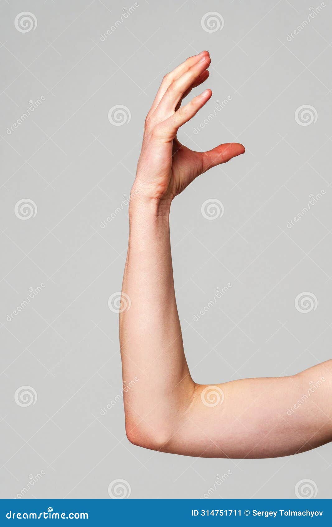 Elevated Bare Human Arm Bent at the Elbow Against a Neutral Background ...