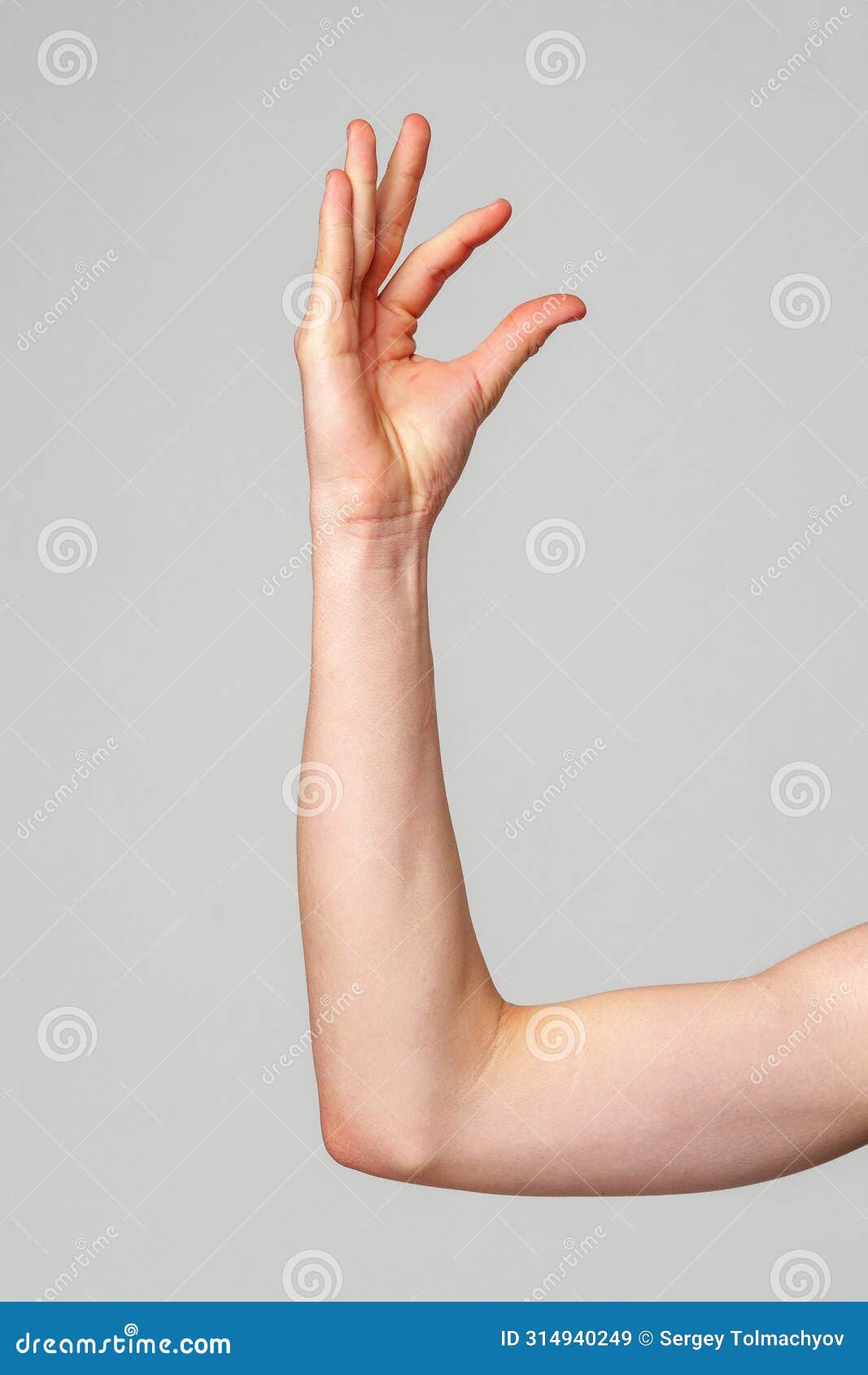 Elevated Bare Human Arm Bent at the Elbow Against a Neutral Background ...