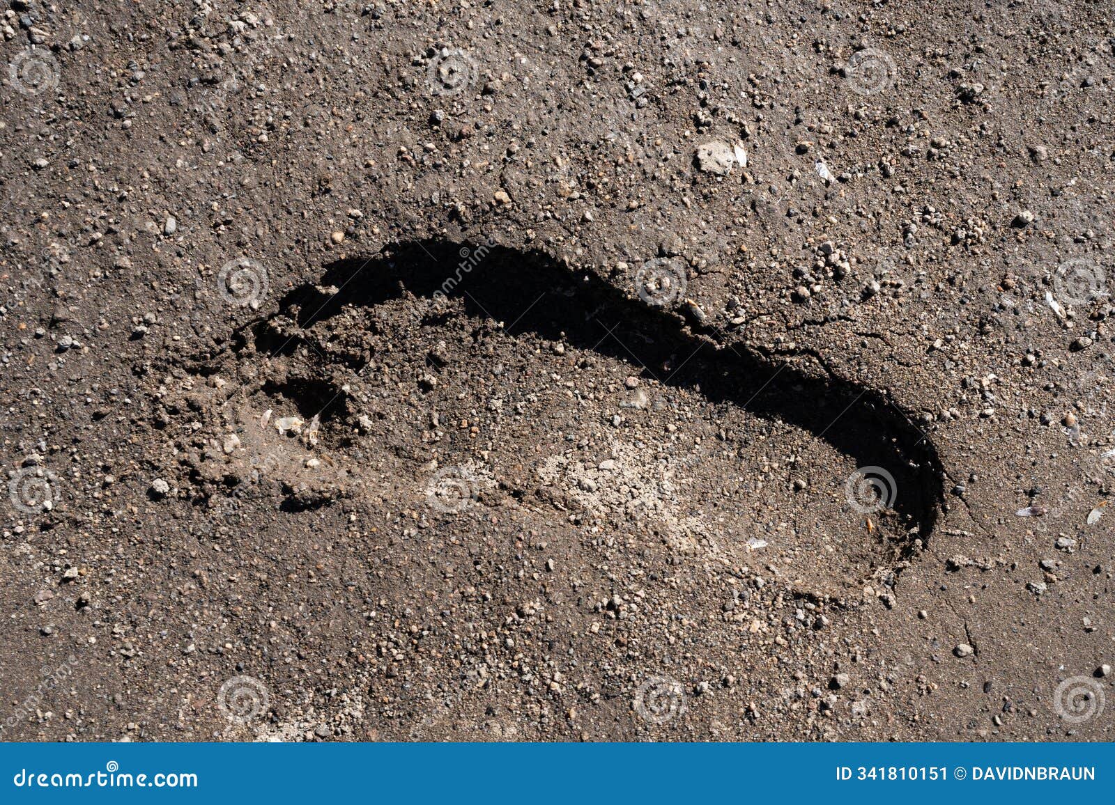 Single Human Footprint in the Mud Stock Image - Image of step ...