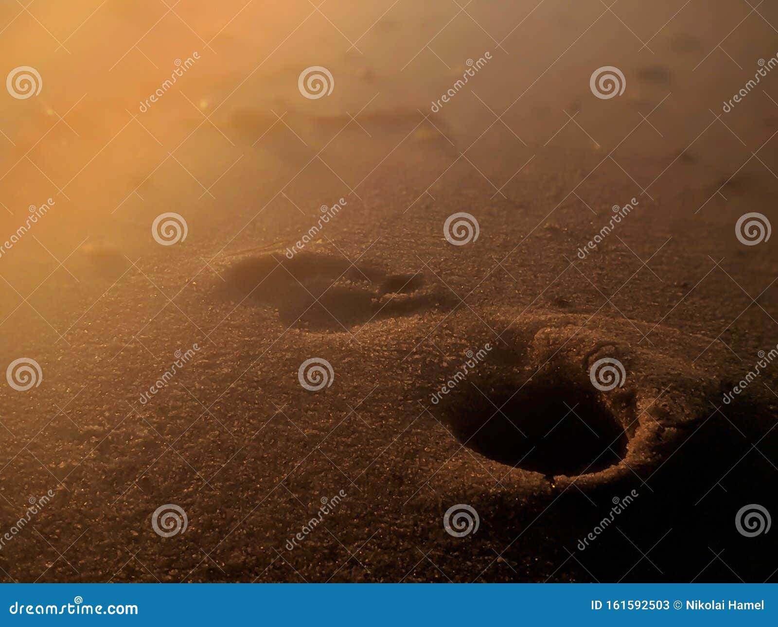 A Single Footstep in the Sand Stock Image - Image of impression ...