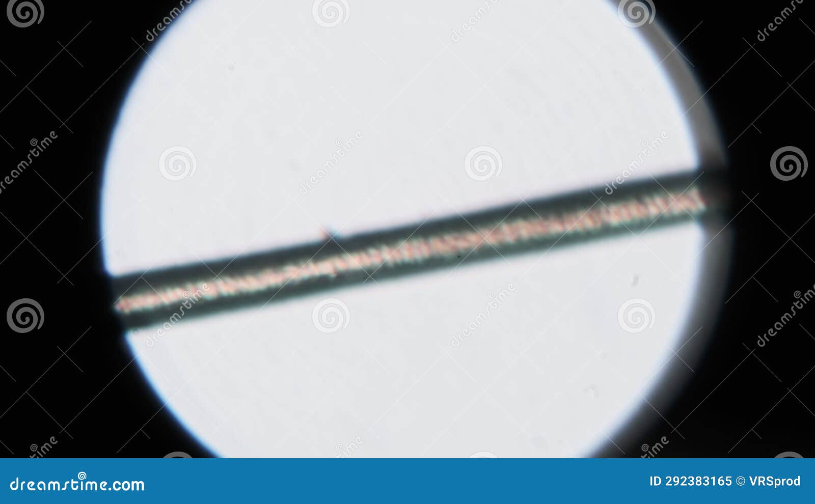 Single Human Hair Under a Microscope Magnification Stock Video - Video ...