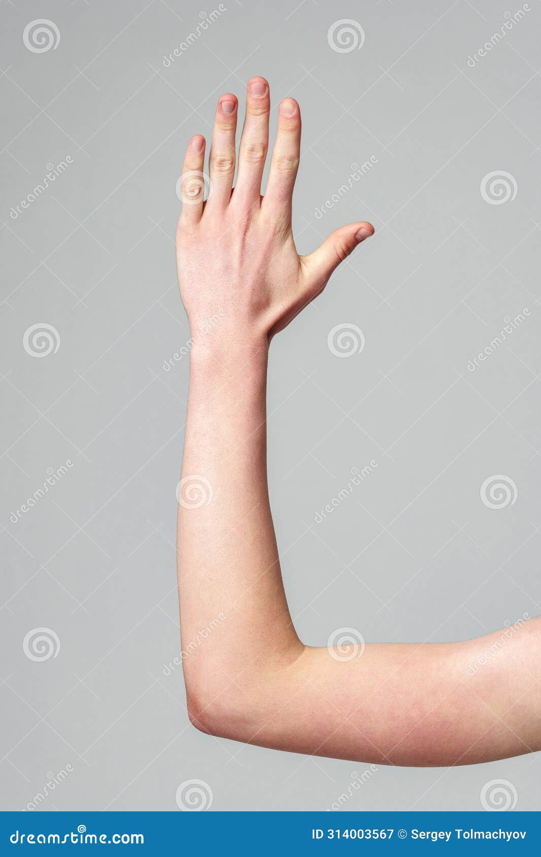 Human Hand Raised Against a Neutral Gray Background in a Studio Setting ...