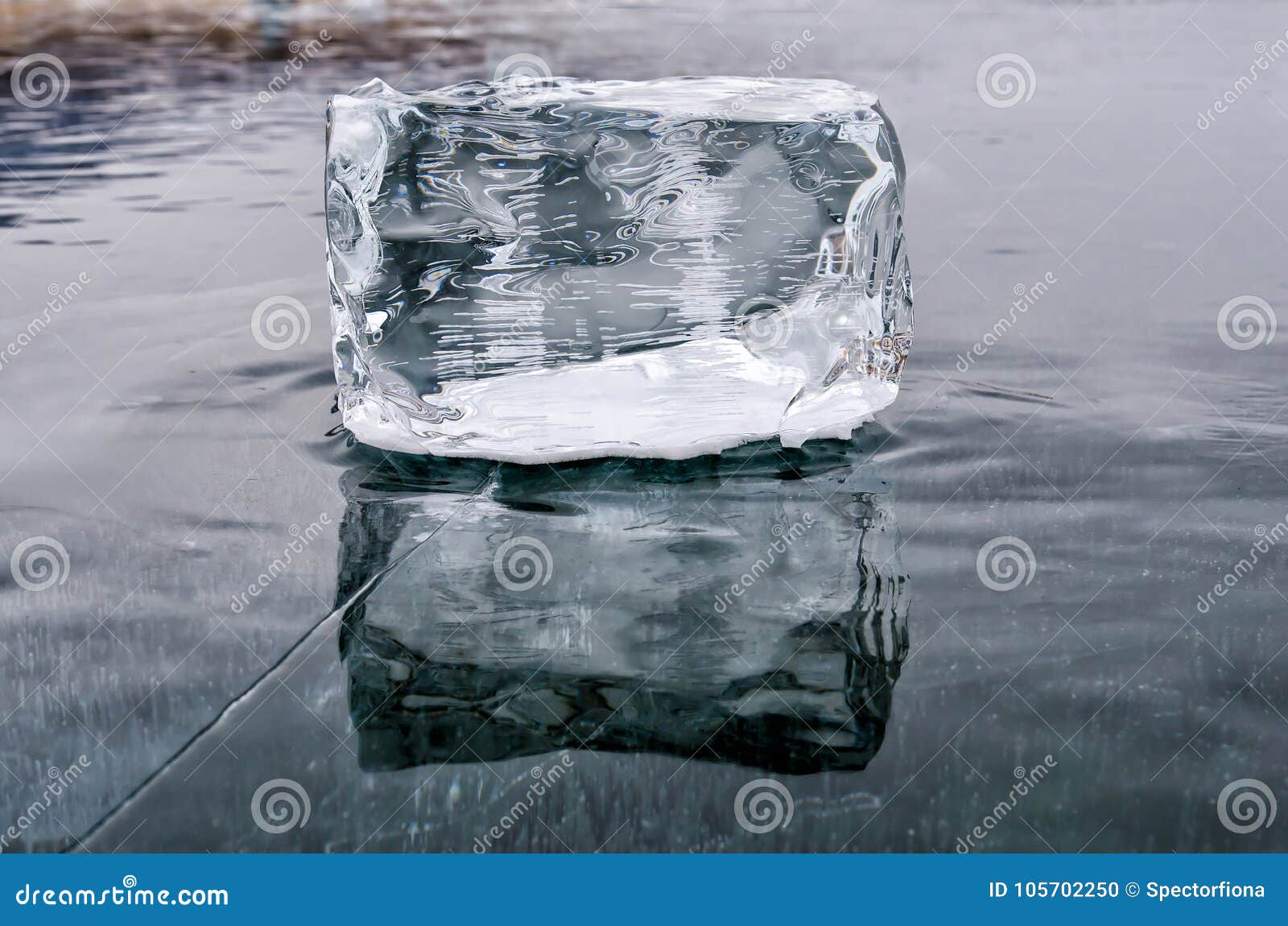 Single Ice Cube with Reflection on the Lake Surface Stock Photo - Image ...