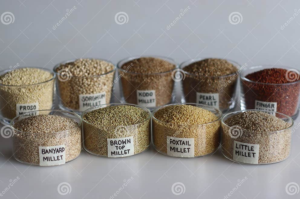 A Single Image Showing All the Nine Millets Stock Image - Image of kodo ...