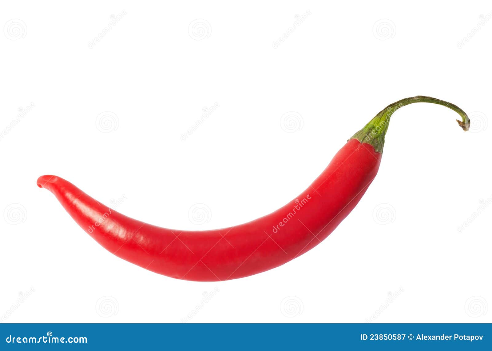 Single Isolated Red Hot Chilli Pepper Royalty Free Stock Photography ...