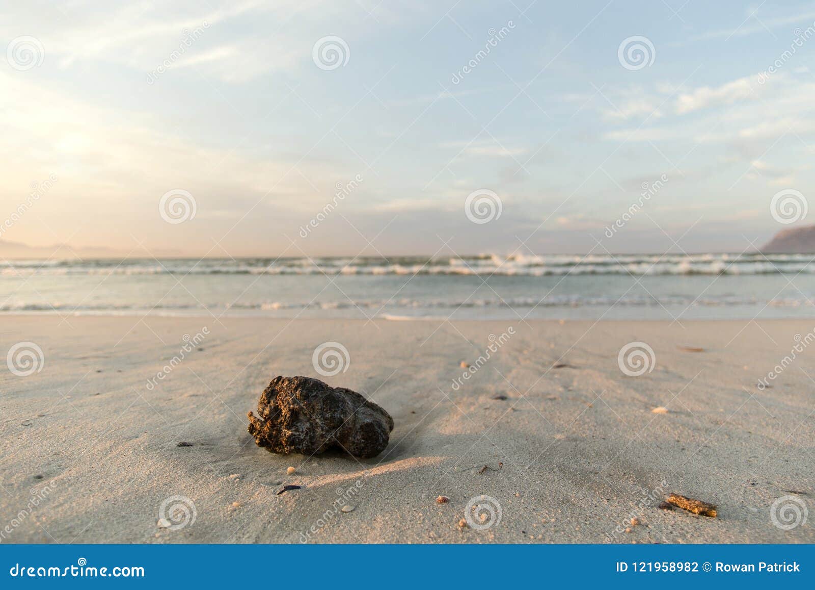Single Beach Small Rock stock photo. Image of beautiful - 121958982