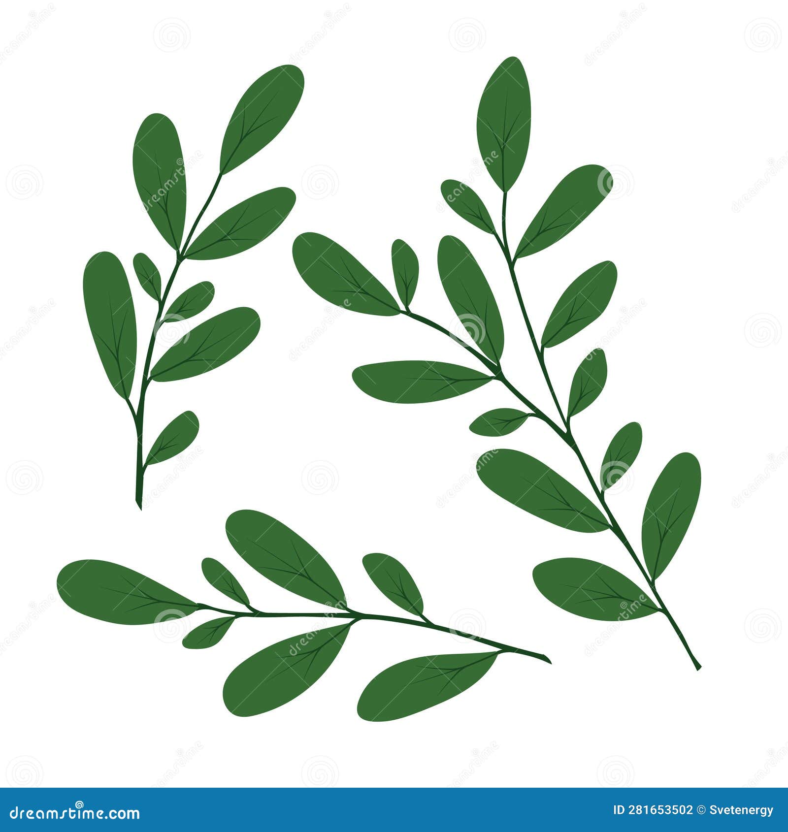 A Single Isolated Twig with Leaves on a White Background Stock Vector ...