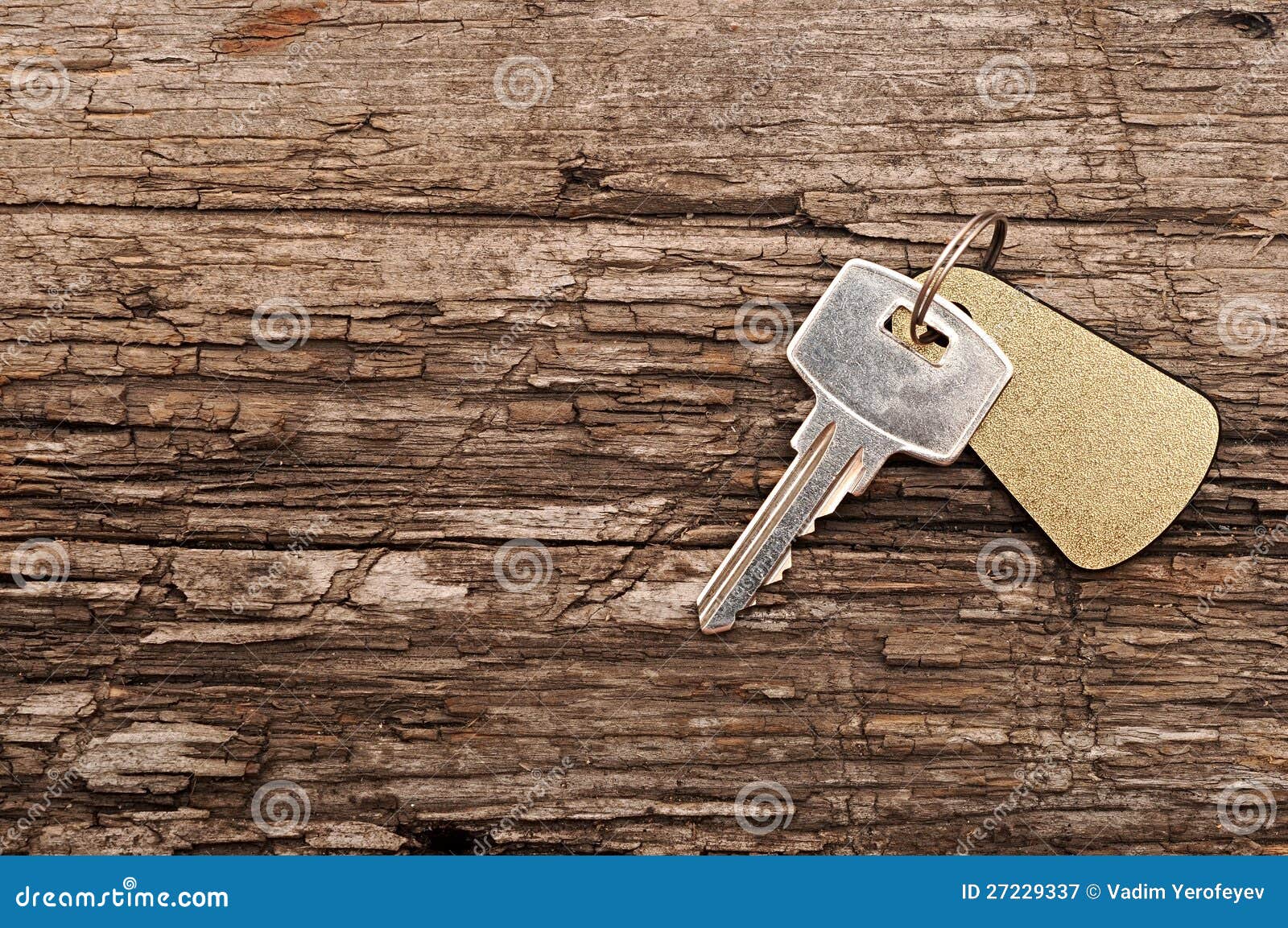 Single key stock image. Image of abstract, home, natural - 27229337