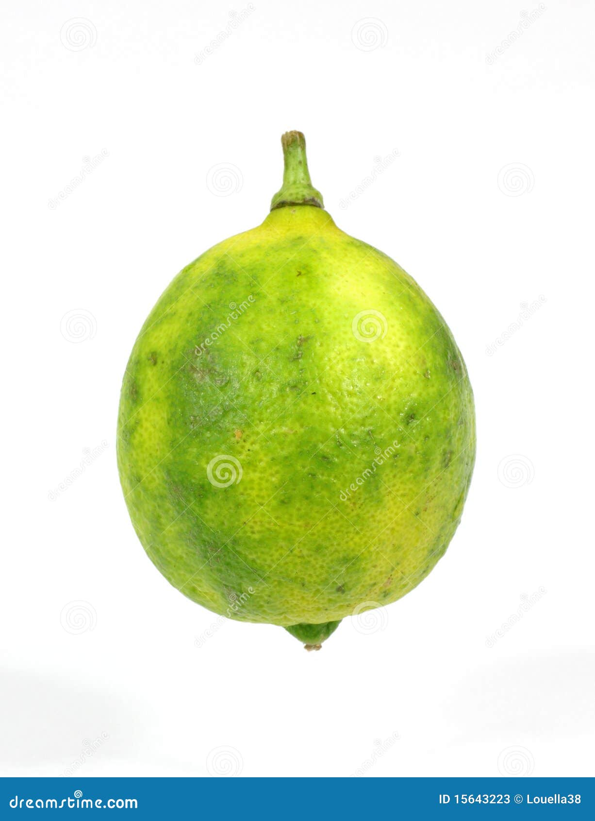 Single Key Lime Fruit stock image. Image of white, stem - 15643223