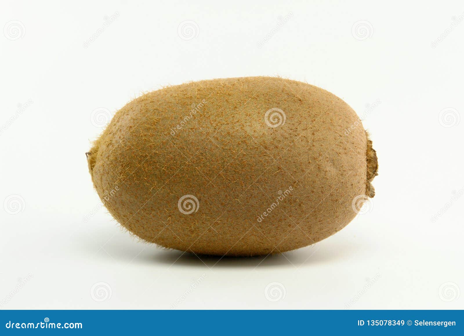 Single Kiwi Fruit stock image. Image of single, eating - 135078349