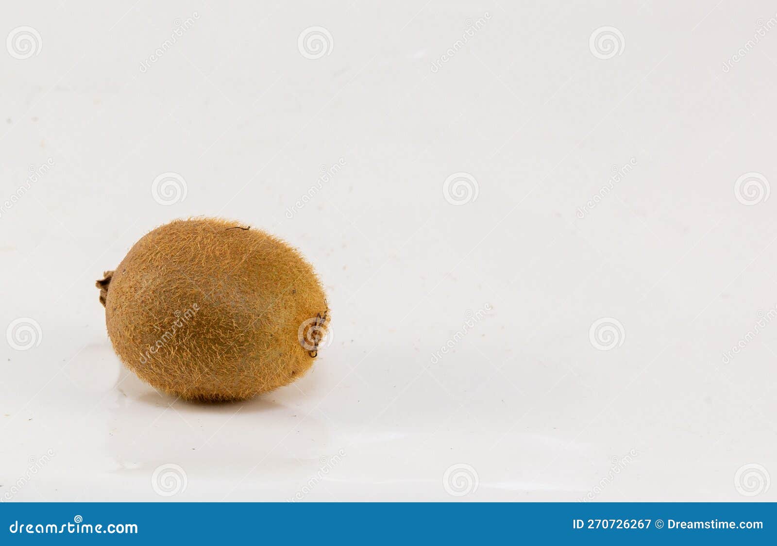 Single Kiwi Fruit stock image. Image of sweet, healthy - 270726267