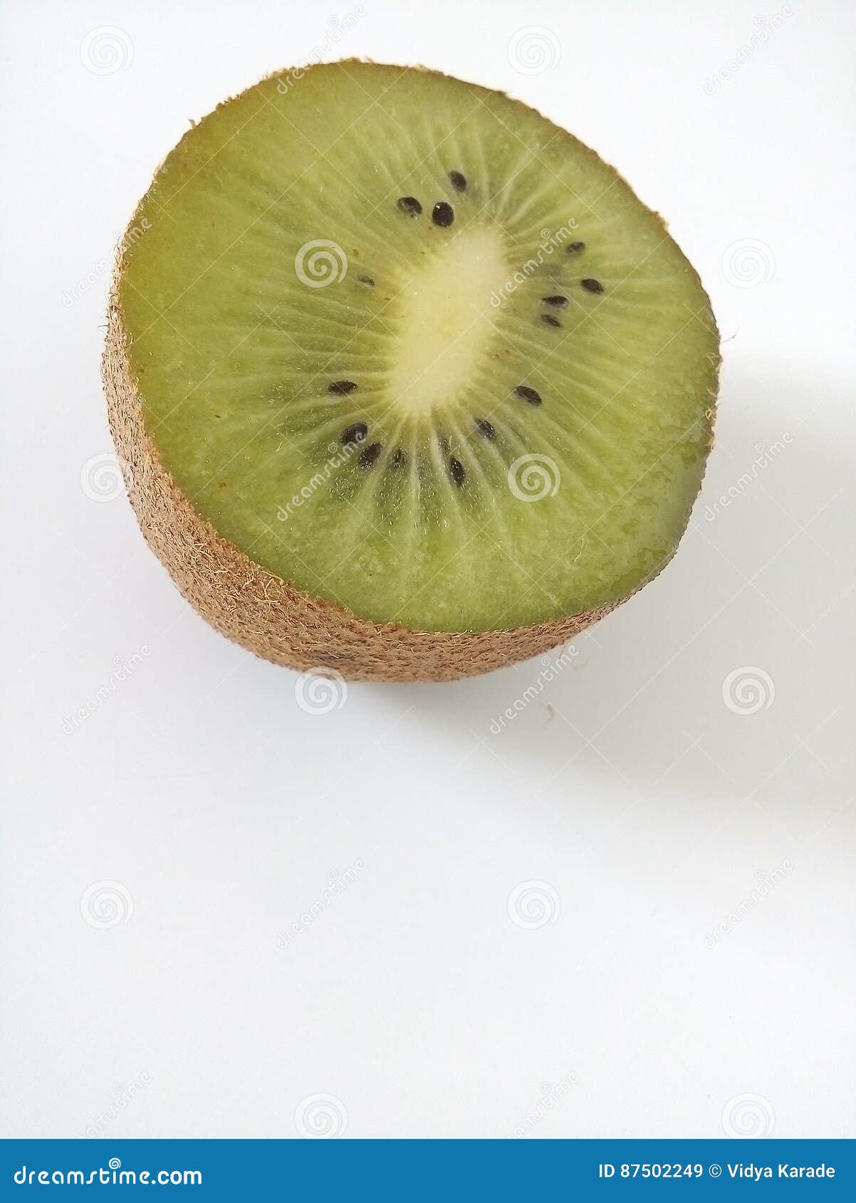 Single Kiwi Piece on a White Background Stock Image - Image of kiwi ...