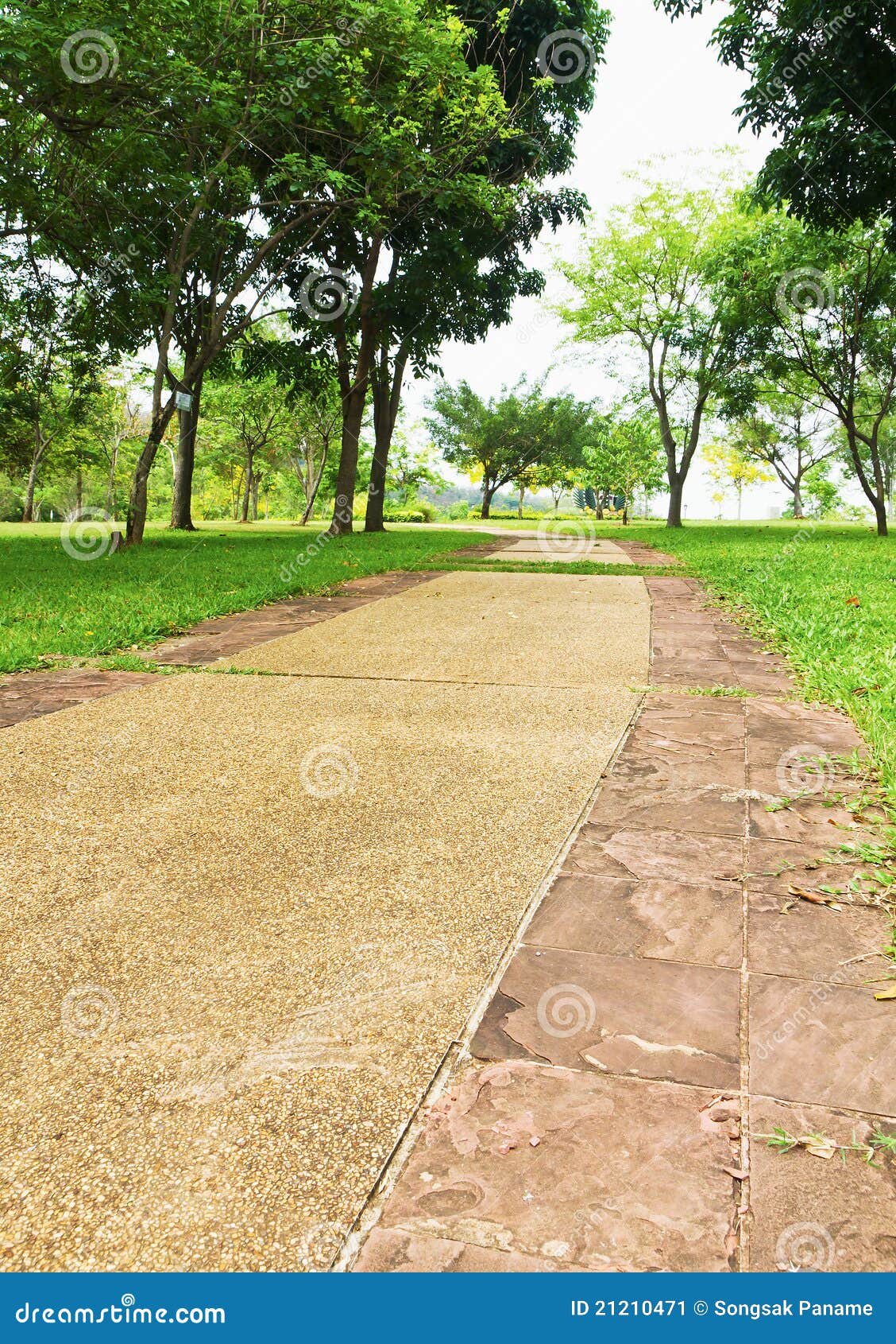 Single Lane Road stock image. Image of concrete, twisted - 21210471