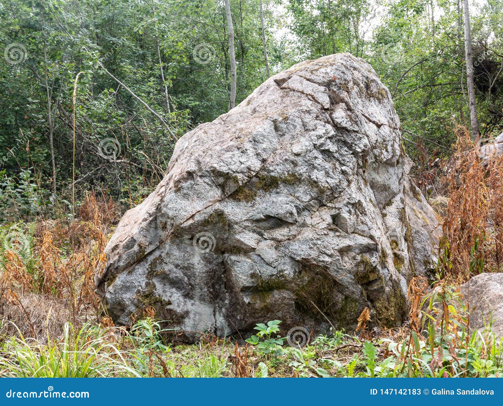 Single Large Boulder in the Forest Stock Image - Image of geological ...