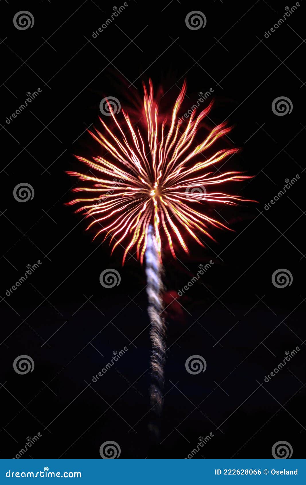 Single Large Firework Sky Black Background. Fireworks. Copy Space ...