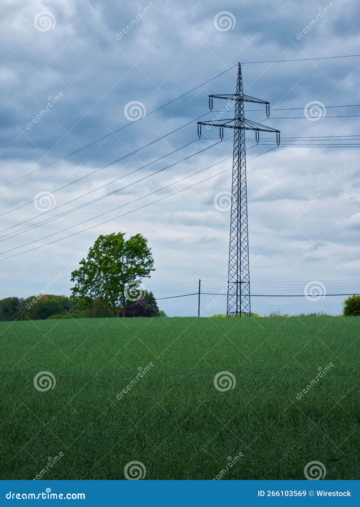 Single Large Power Pole Stands in Nature Stock Image - Image of nature ...
