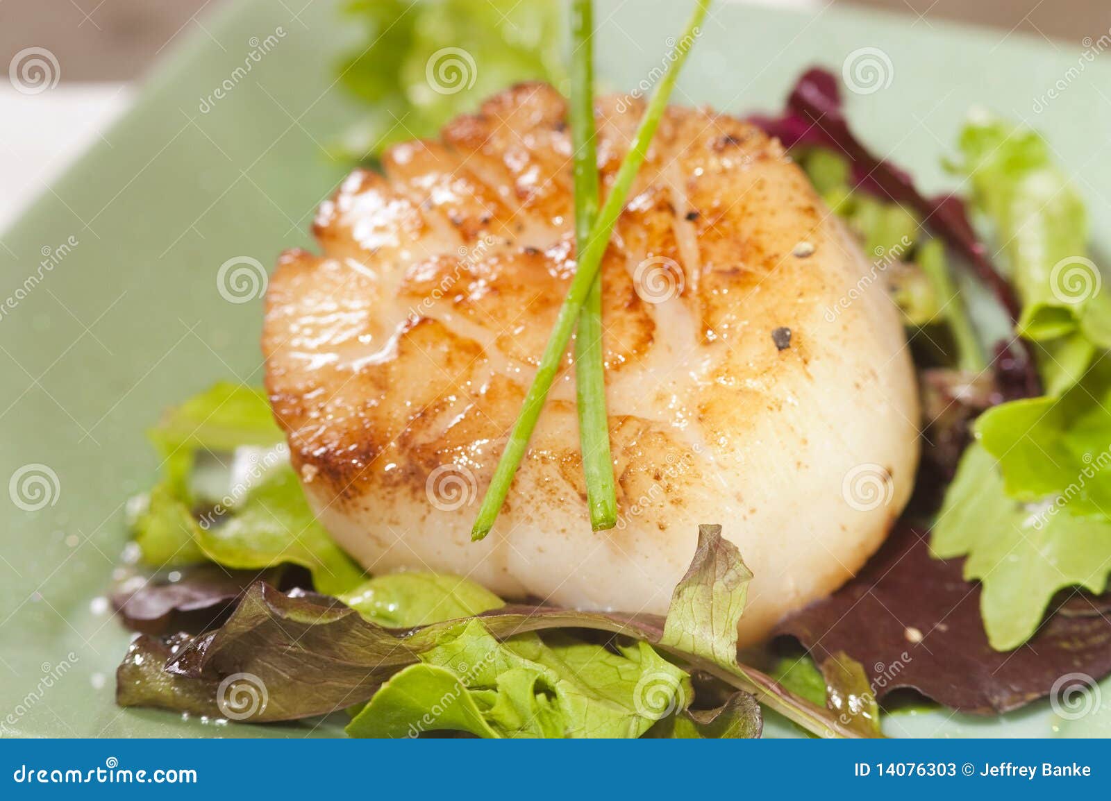 A single large scallop stock image. Image of luxury, industry - 14076303