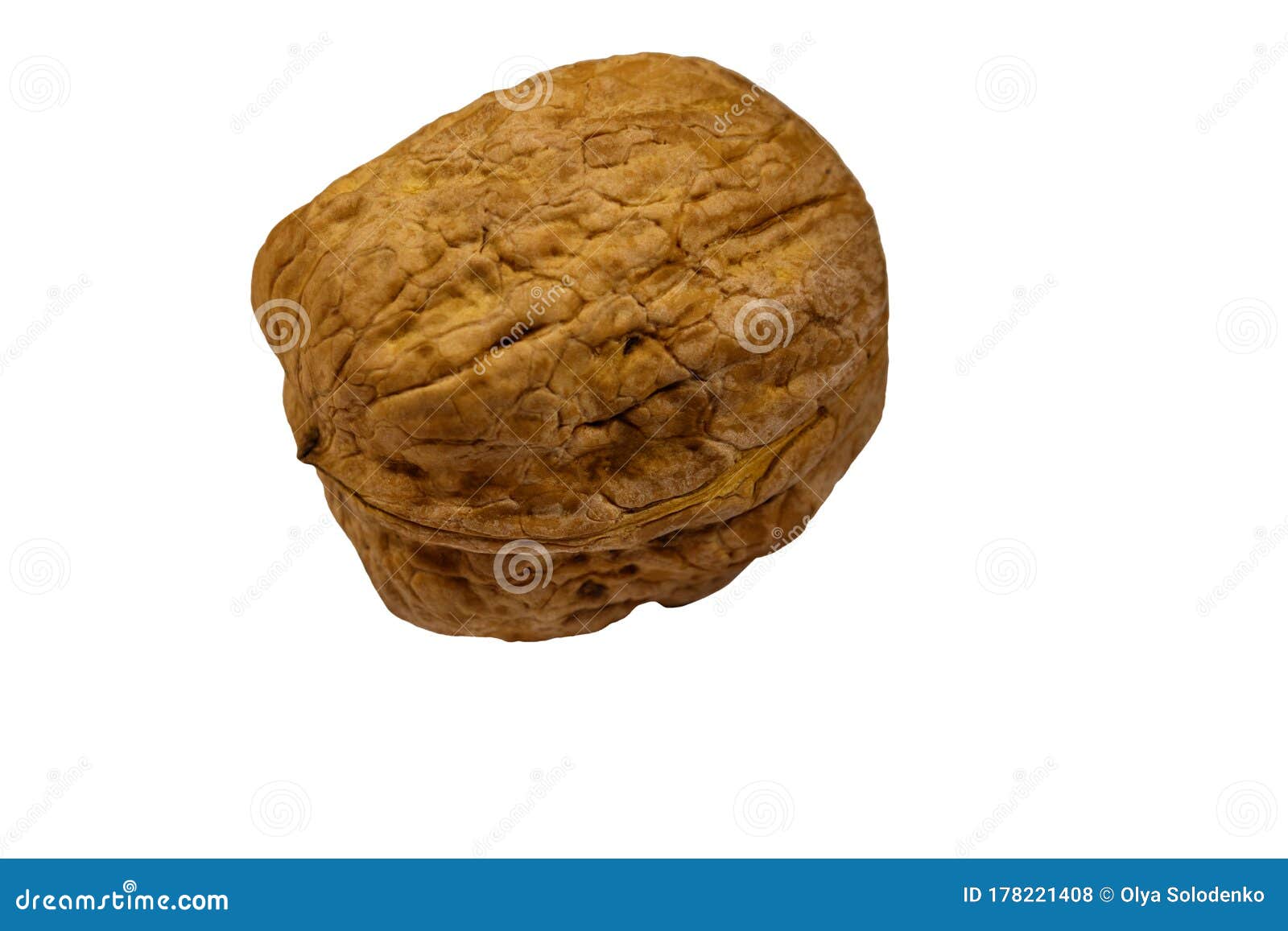 Single Large Walnut Isolated on White Background Stock Photo - Image of ...
