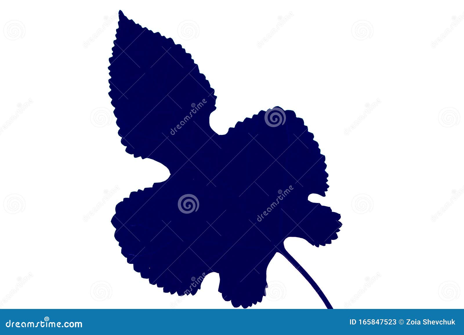 Single Leaf. Isolated. Classic Blue - Trend Color 2020 Stock Image ...