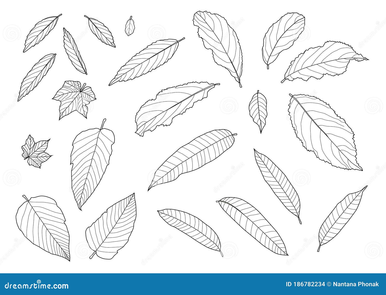 Leaves Line Single Leaf and Leaf Pattern Black Bring To Color Decorate ...