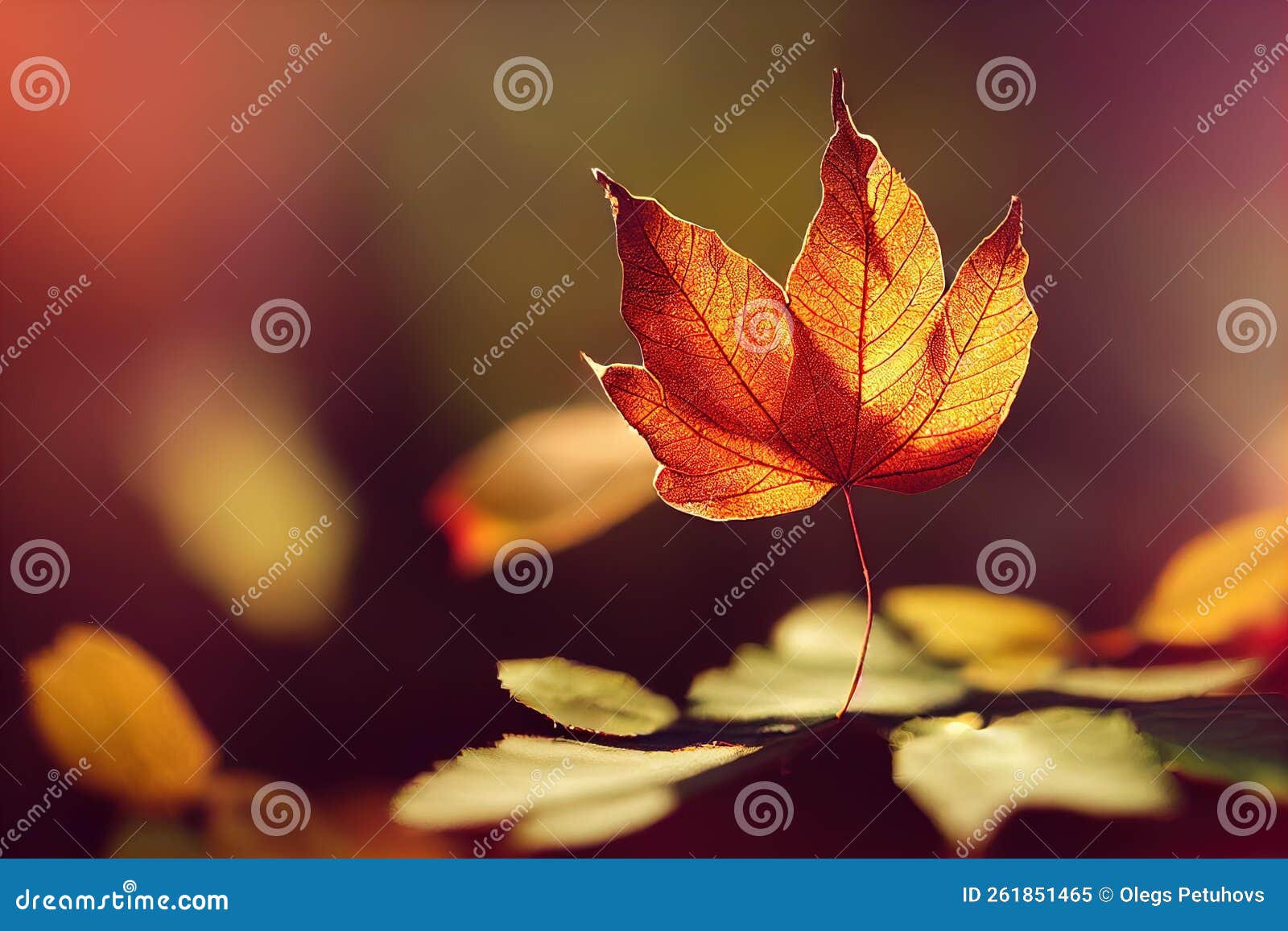 A Single Leaf is Shown on a Branch with Other Leaves in the Background ...