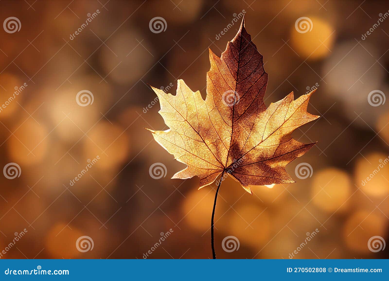 A Single Leaf is Shown in Front of a Blurry Background of Leaves in ...