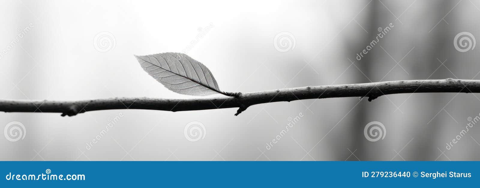 A Single Leaf on a Twig on a Tree Branch. Generative AI Image. Stock ...