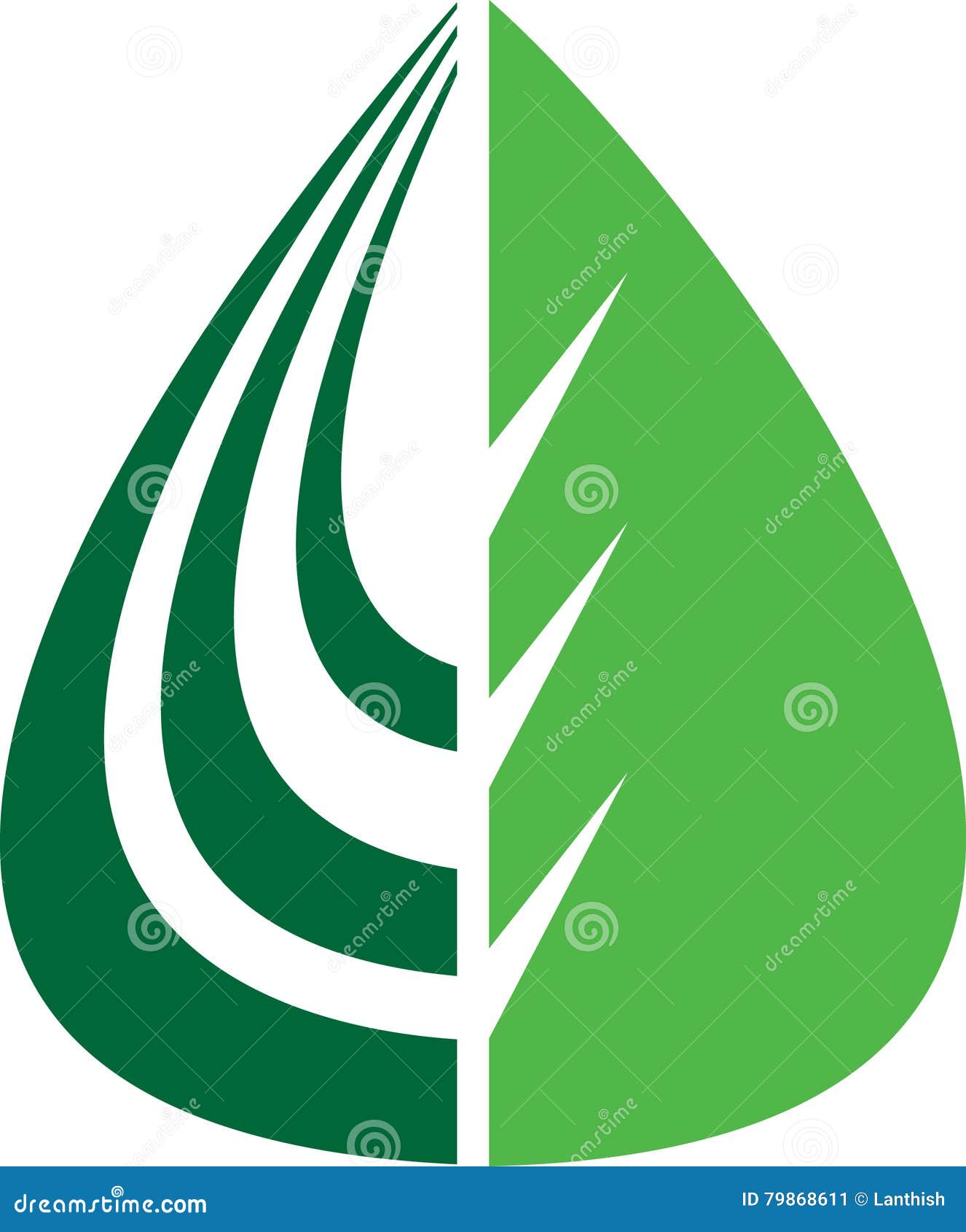 Single Leaf stock vector. Illustration of macro, leaf - 79868611